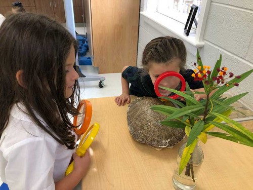 Fostering a Lifelong Love of Science in Early Childhood | Episcopal ...